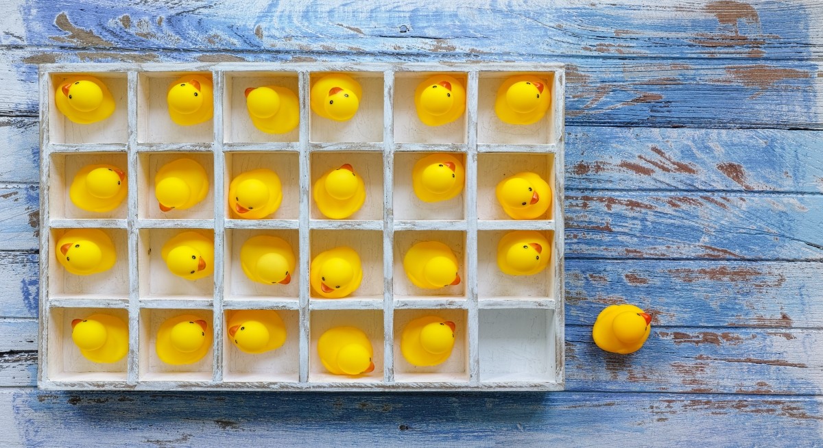 Homepage - Frederic Fernandez Associates